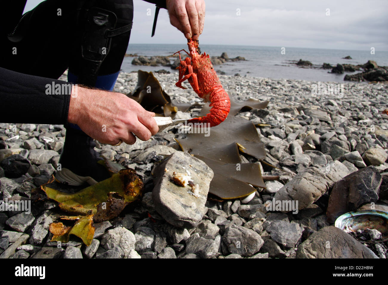 A crayfish hunter with his grilled crayfish Stock Photo - Alamy