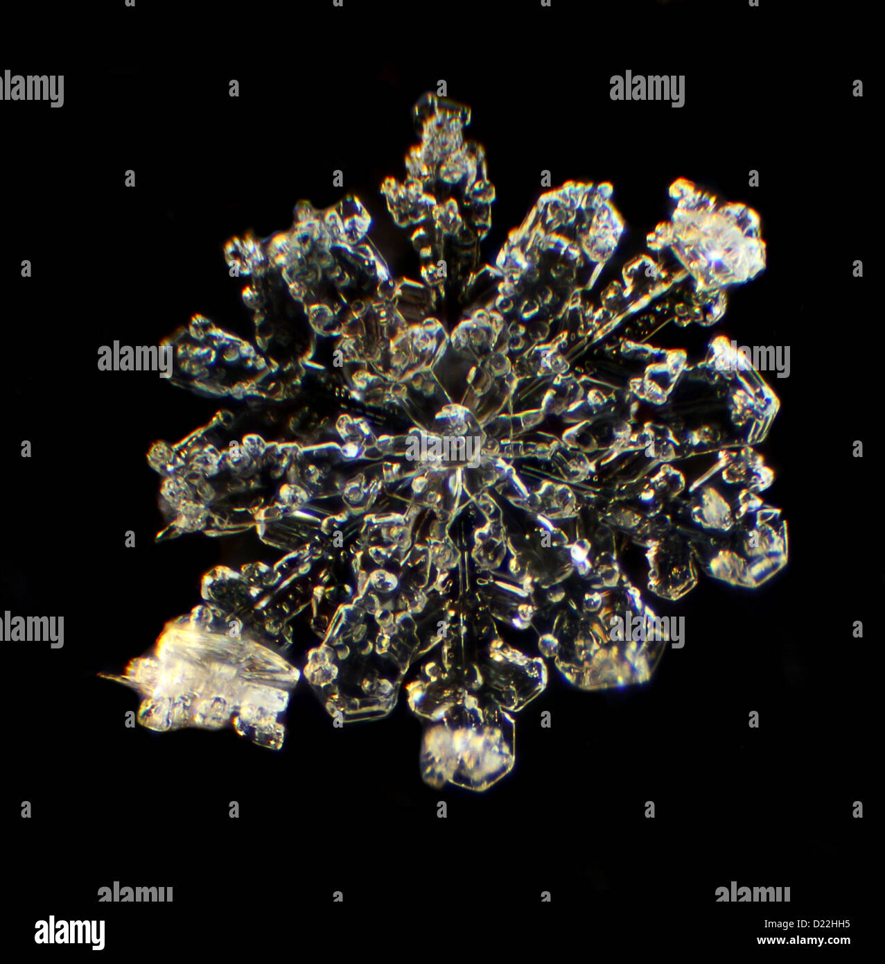 Snowflake microscope hi-res stock photography and images - Alamy