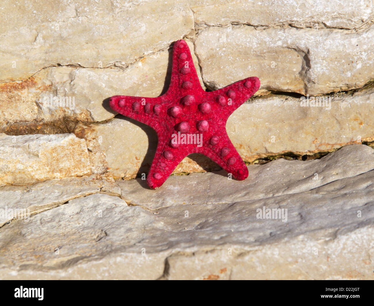 Beautiful sea star stones hi-res stock photography and images - Alamy