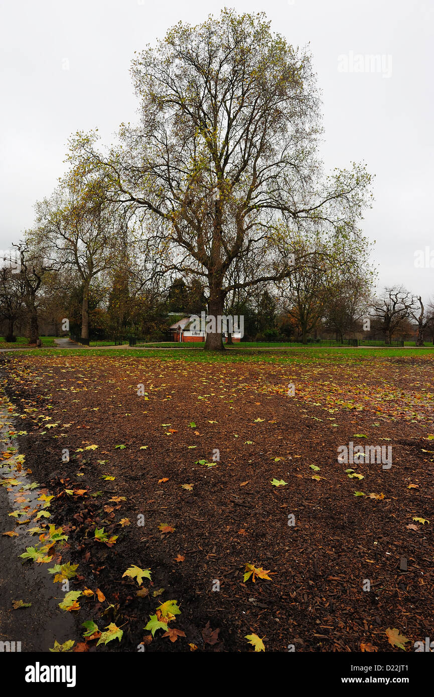 Photo of a little house hi-res stock photography and images - Alamy