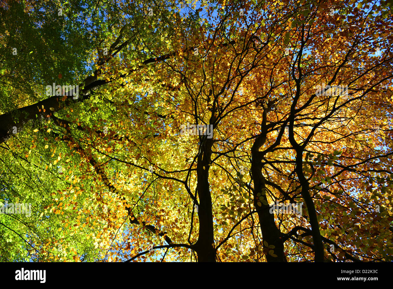 Brampton cumbria hi-res stock photography and images - Alamy