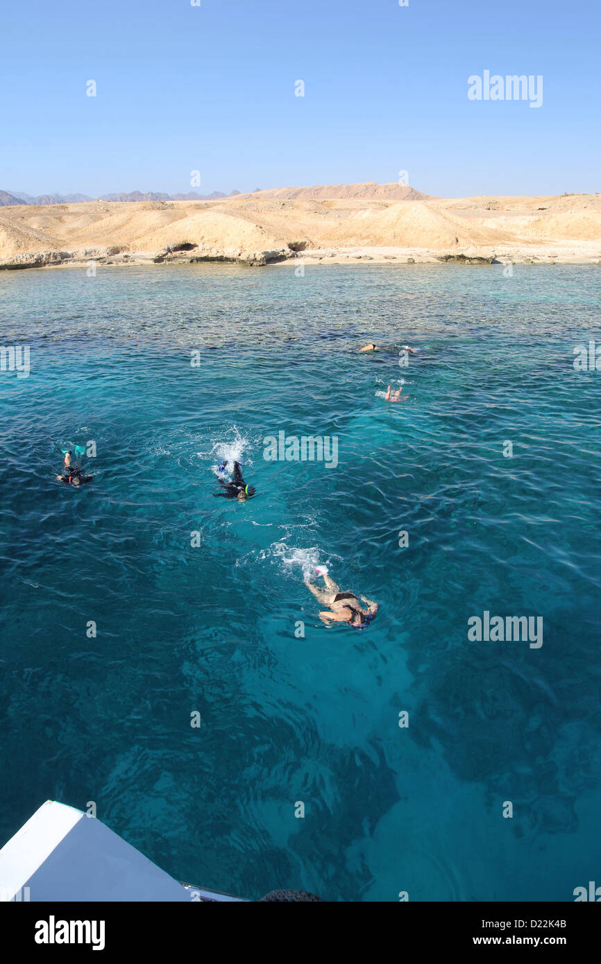 The Red Sea, Sharm El Sheikh, Egypt Stock Photo - Alamy