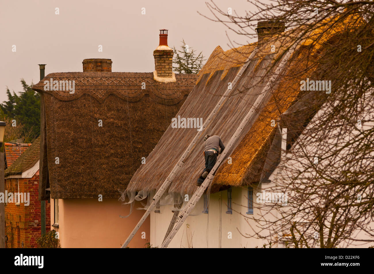 Thatcher on the roof of English thatched country cottage Barrington ...