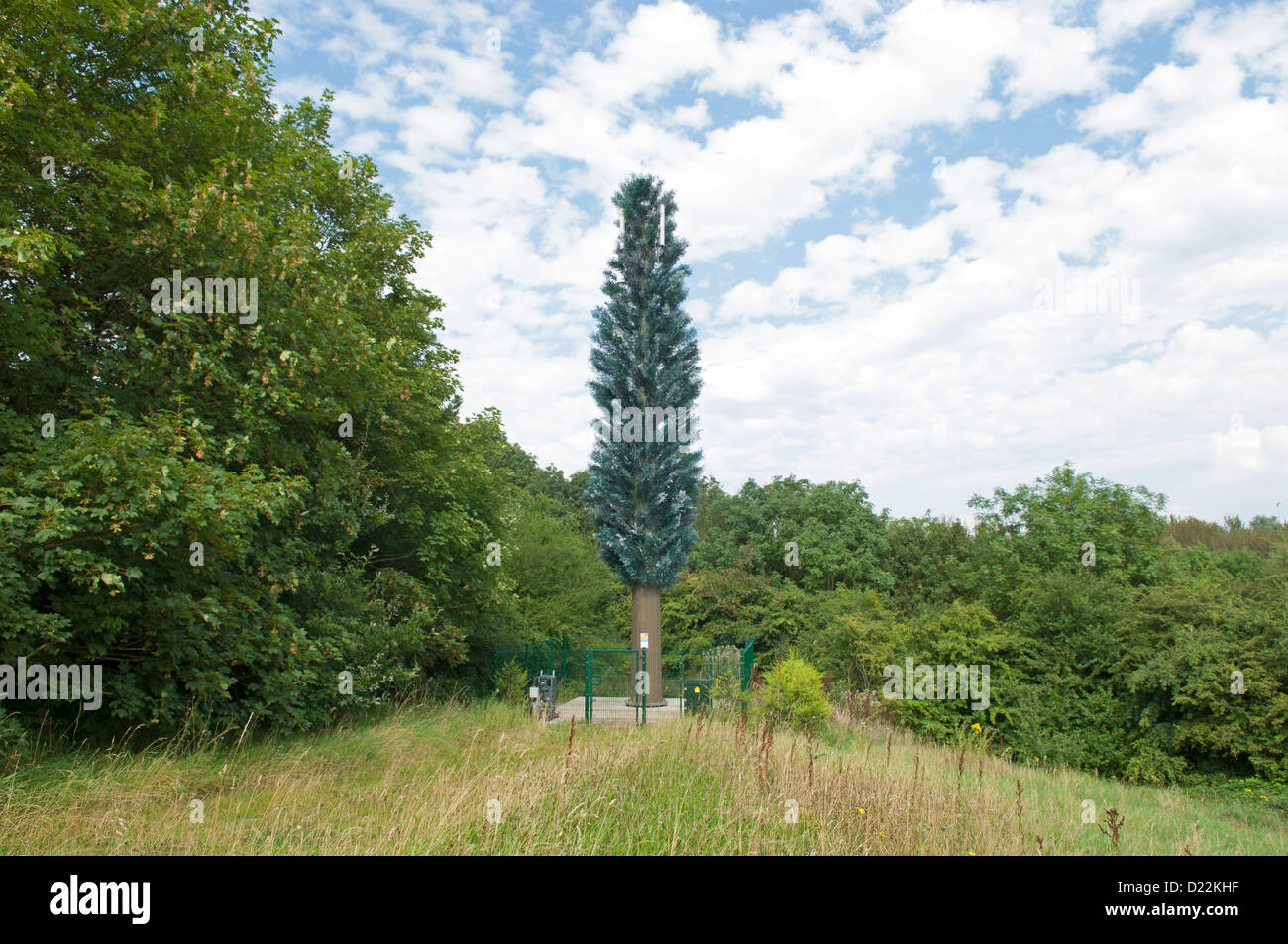 Mobile Phone Mast Disguised As A Tree High Resolution Stock Photography ...
