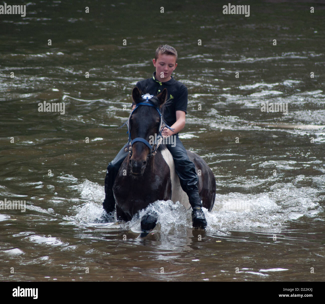 Child on horse Stock Photo - Alamy