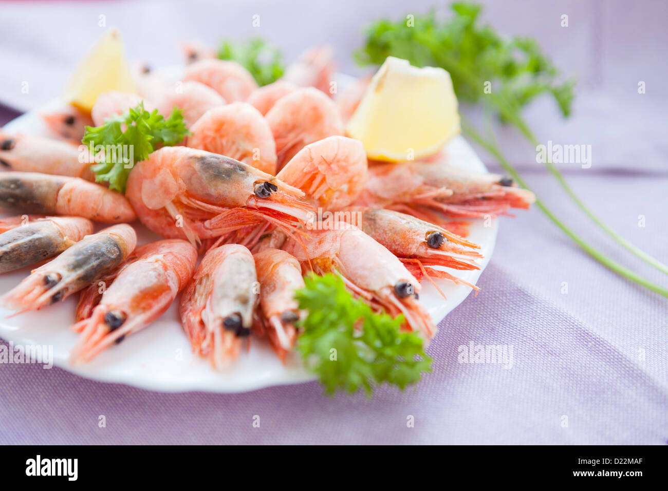 Small shrimp hi-res stock photography and images - Alamy