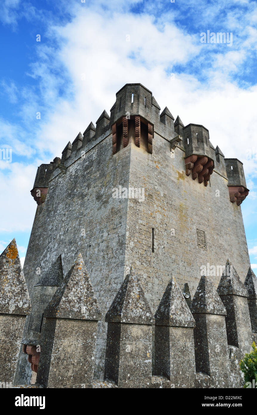 Spanish ancient castle Stock Photo - Alamy