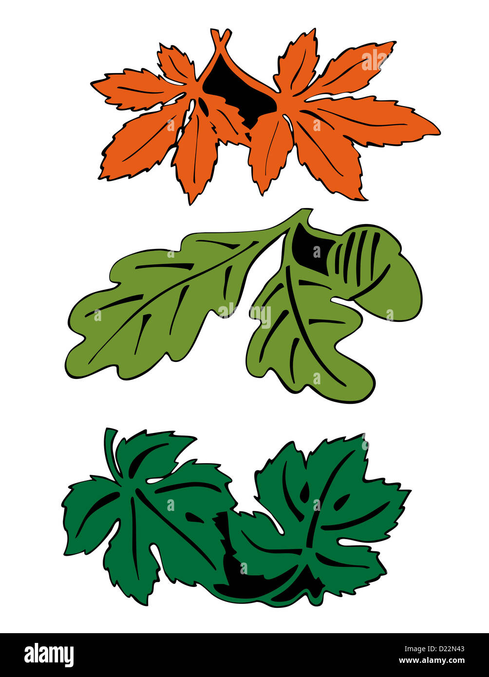 Leaves in pair Stock Photo - Alamy