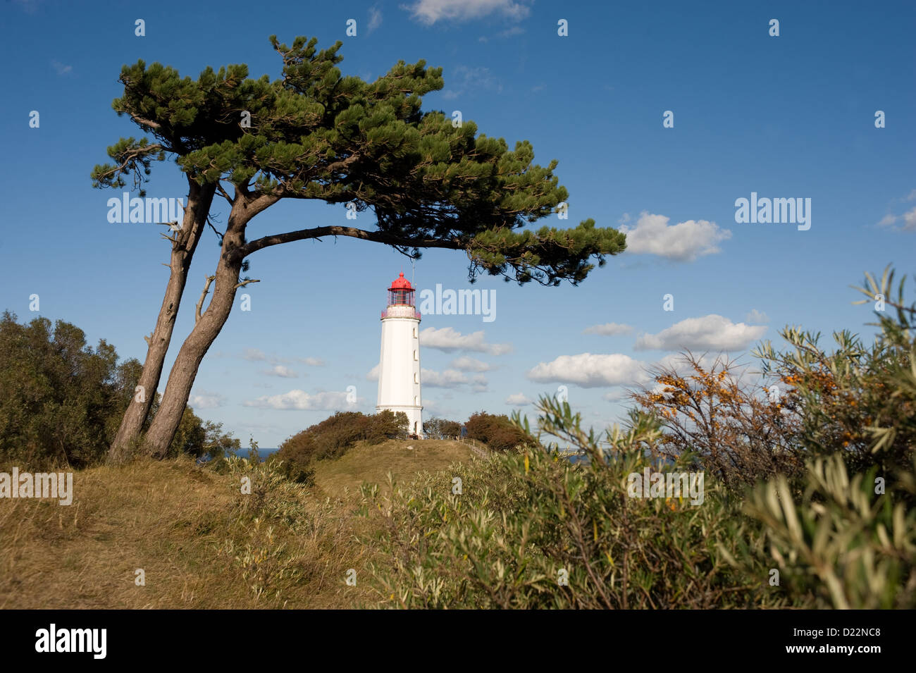 Monastery Hiddensee, Germany, Dornbusch lighthouse Stock Photo - Alamy