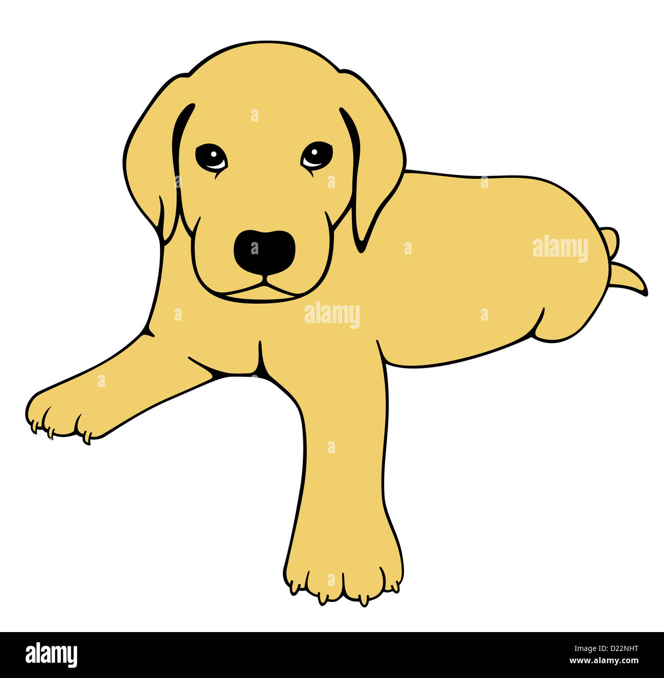 Labrador puppy illustration hi-res stock photography and images - Alamy
