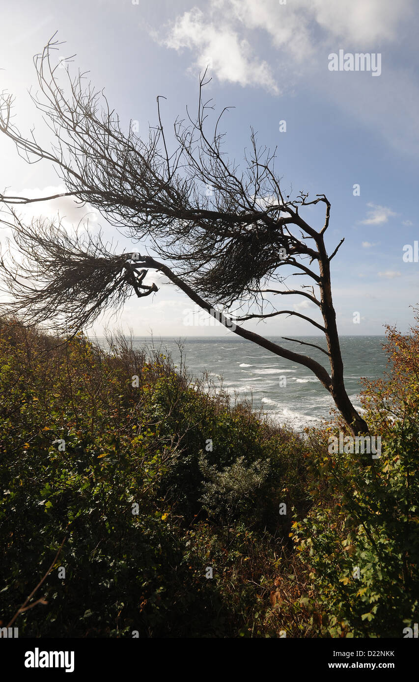 Monastery Hiddensee, Germany, landscape along the coast of monastery ...