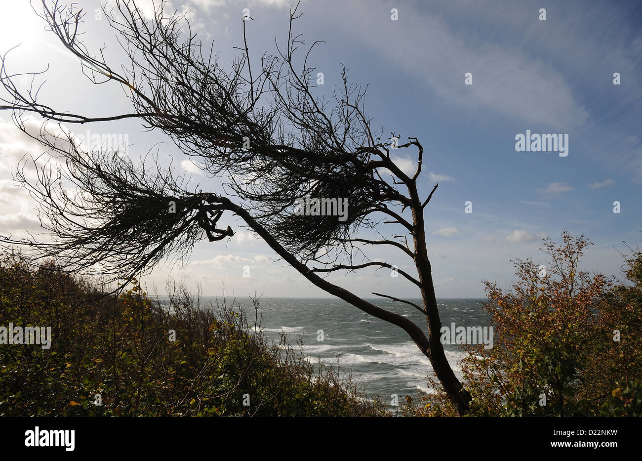 Monastery Hiddensee, Germany, landscape along the coast of monastery ...
