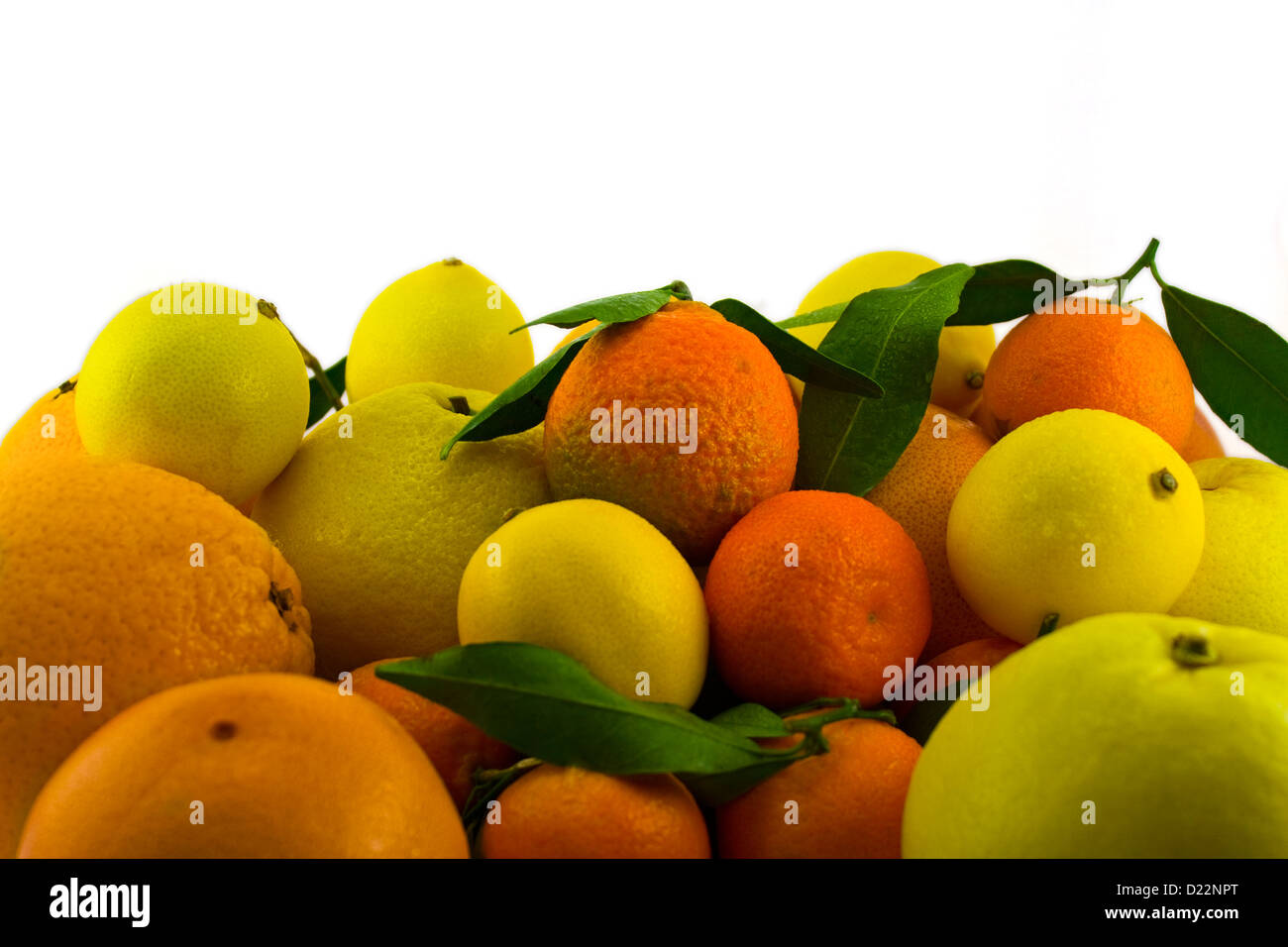 Stock of citrus fruits Stock Photo - Alamy
