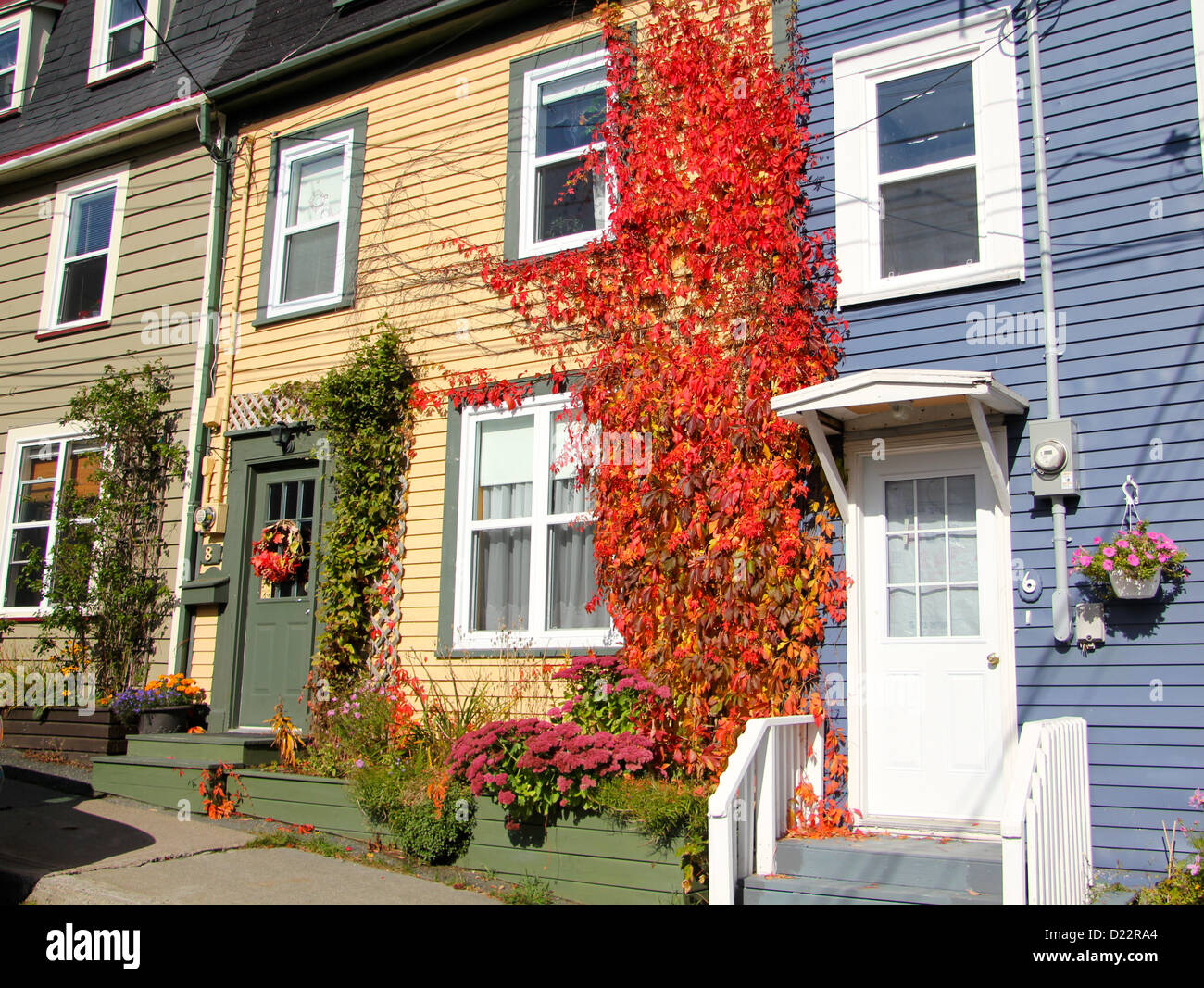 Newfoundland cottages hi-res stock photography and images - Alamy