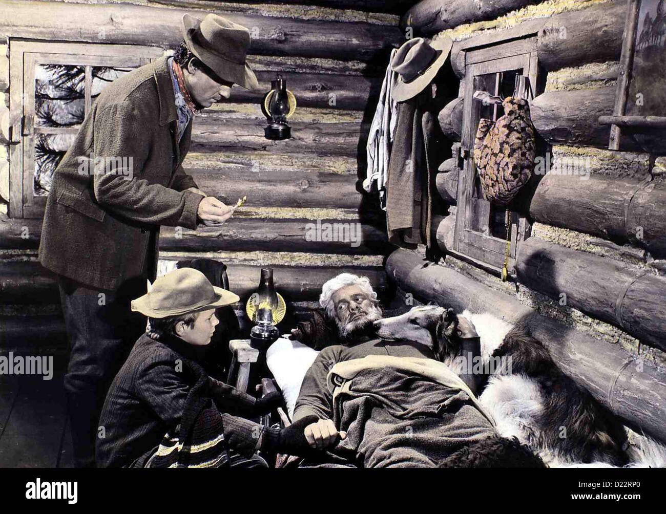 Lassie Und Die Goldgräber Painted Hills, Bruce Cowling, Gary Gray, Paul ...