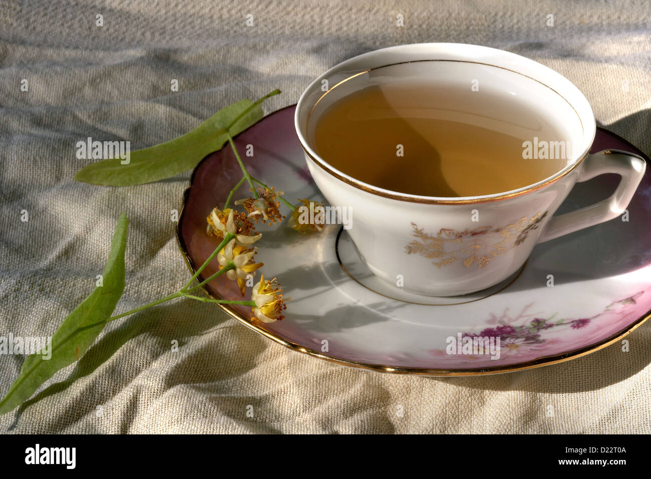 Tila infusion. LLeida. Spain Stock Photo - Alamy