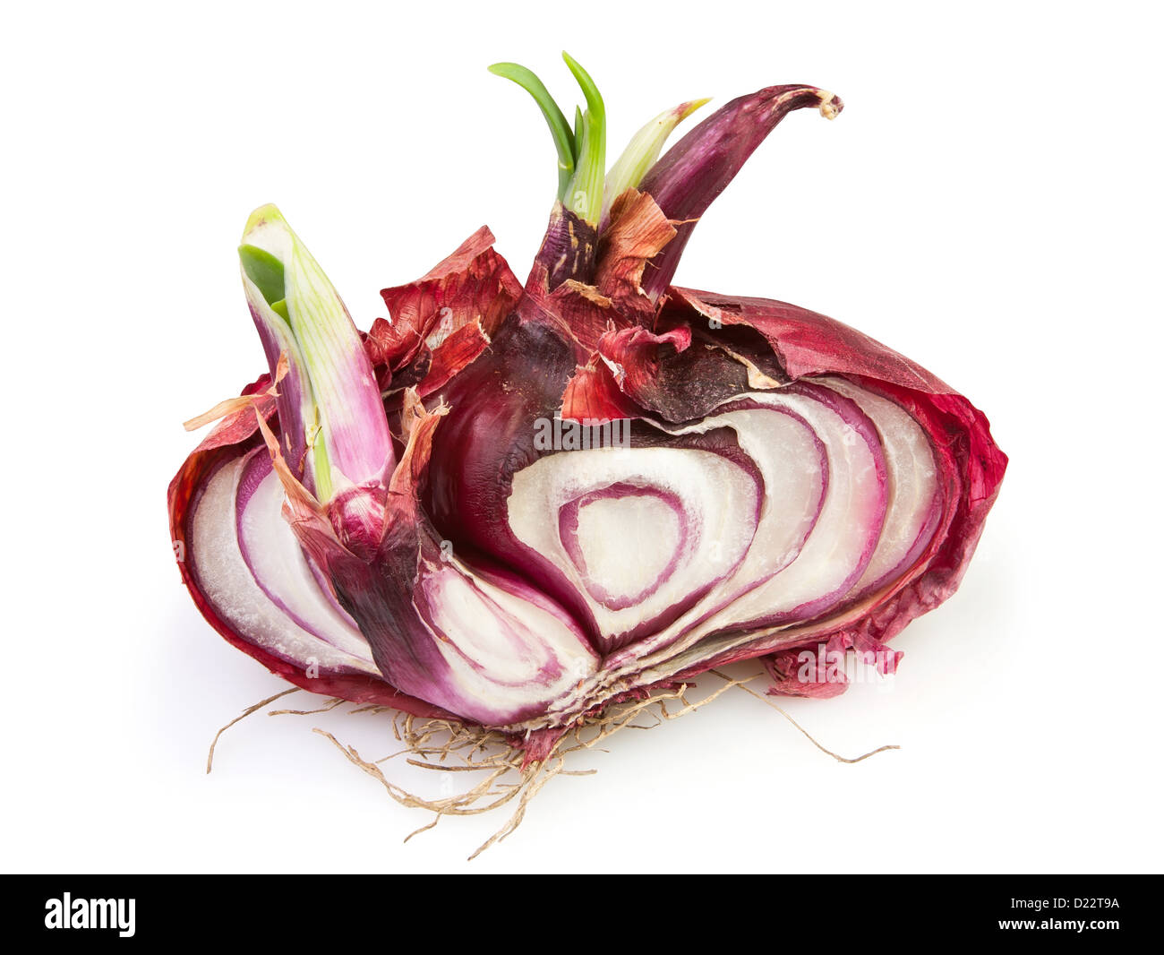 onion cut on white background Stock Photo - Alamy