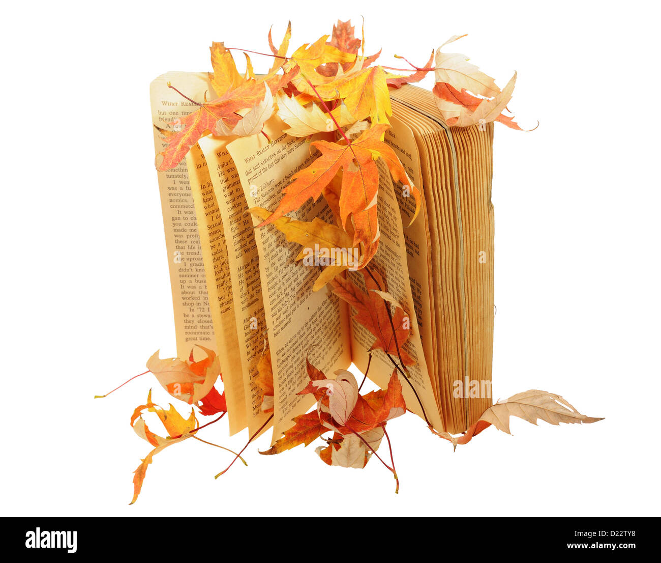 Book under maple leaves isolated over white background Stock Photo - Alamy