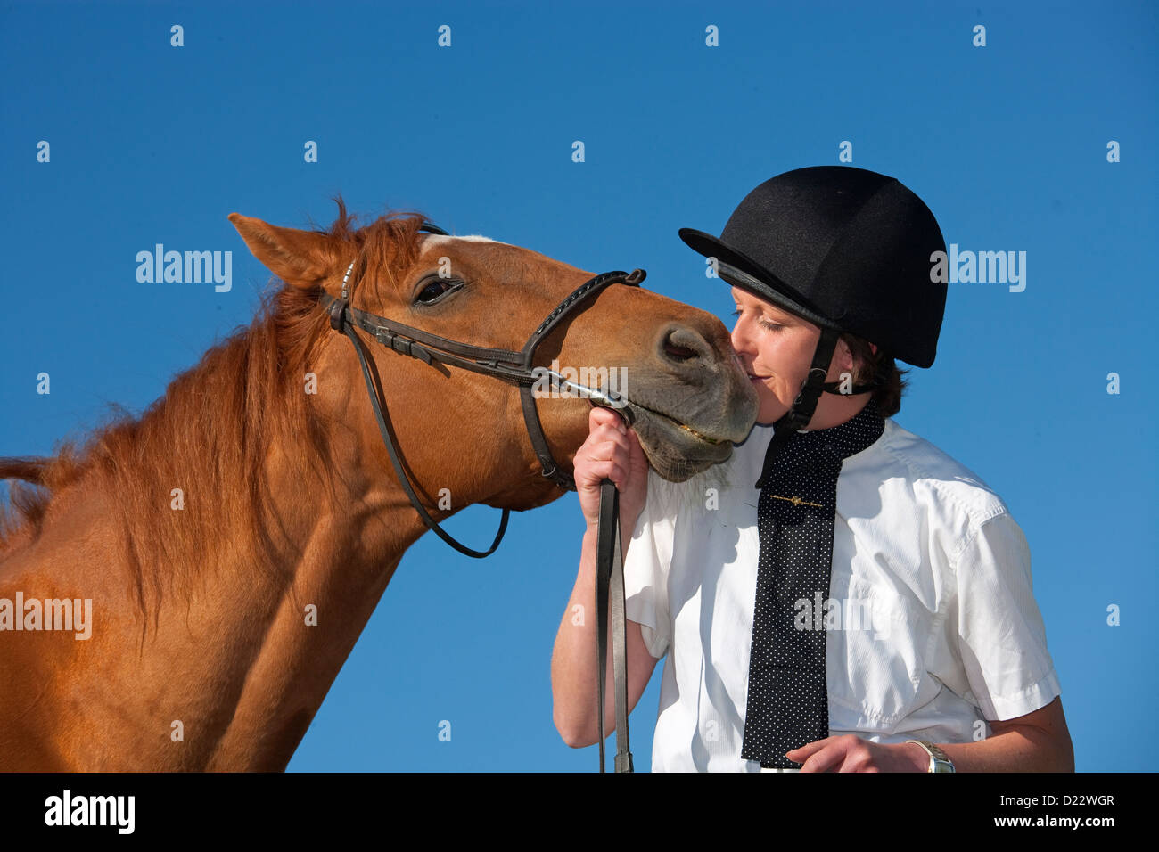 Girl with Chestnut thoroughbred riding horse Stock Photo - Alamy