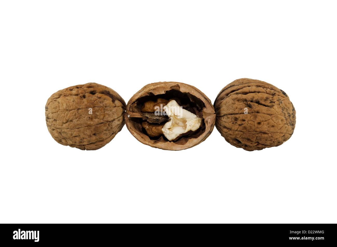 three walnuts isolated on a white background Stock Photo - Alamy