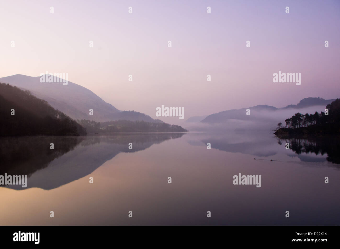 Horizontal composition. Early morning lake scene tree silhouettes mist ...