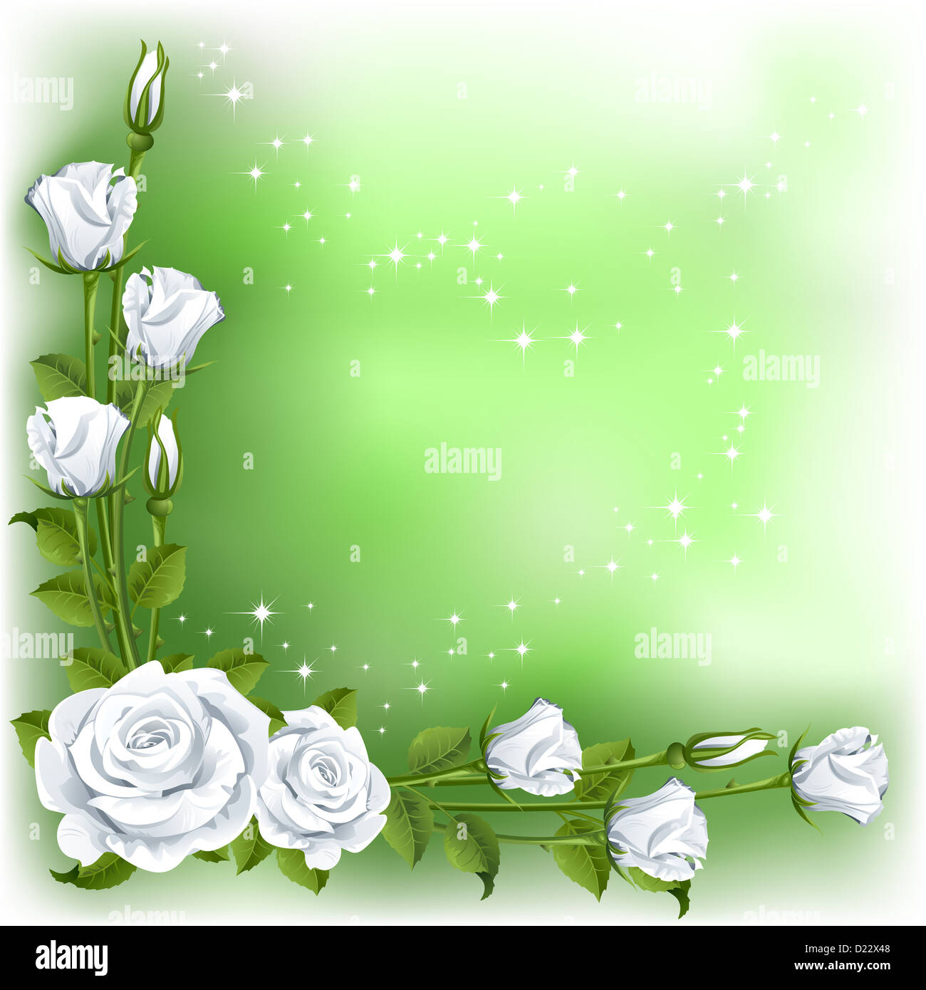 Green background with white roses Stock Photo - Alamy