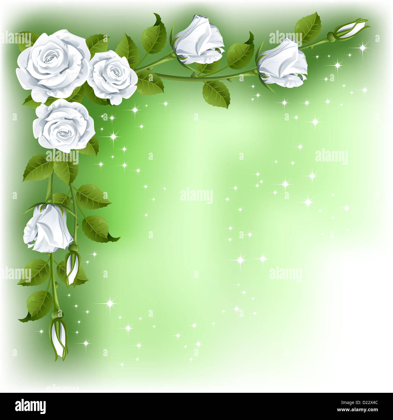 Green background with white roses Stock Photo - Alamy