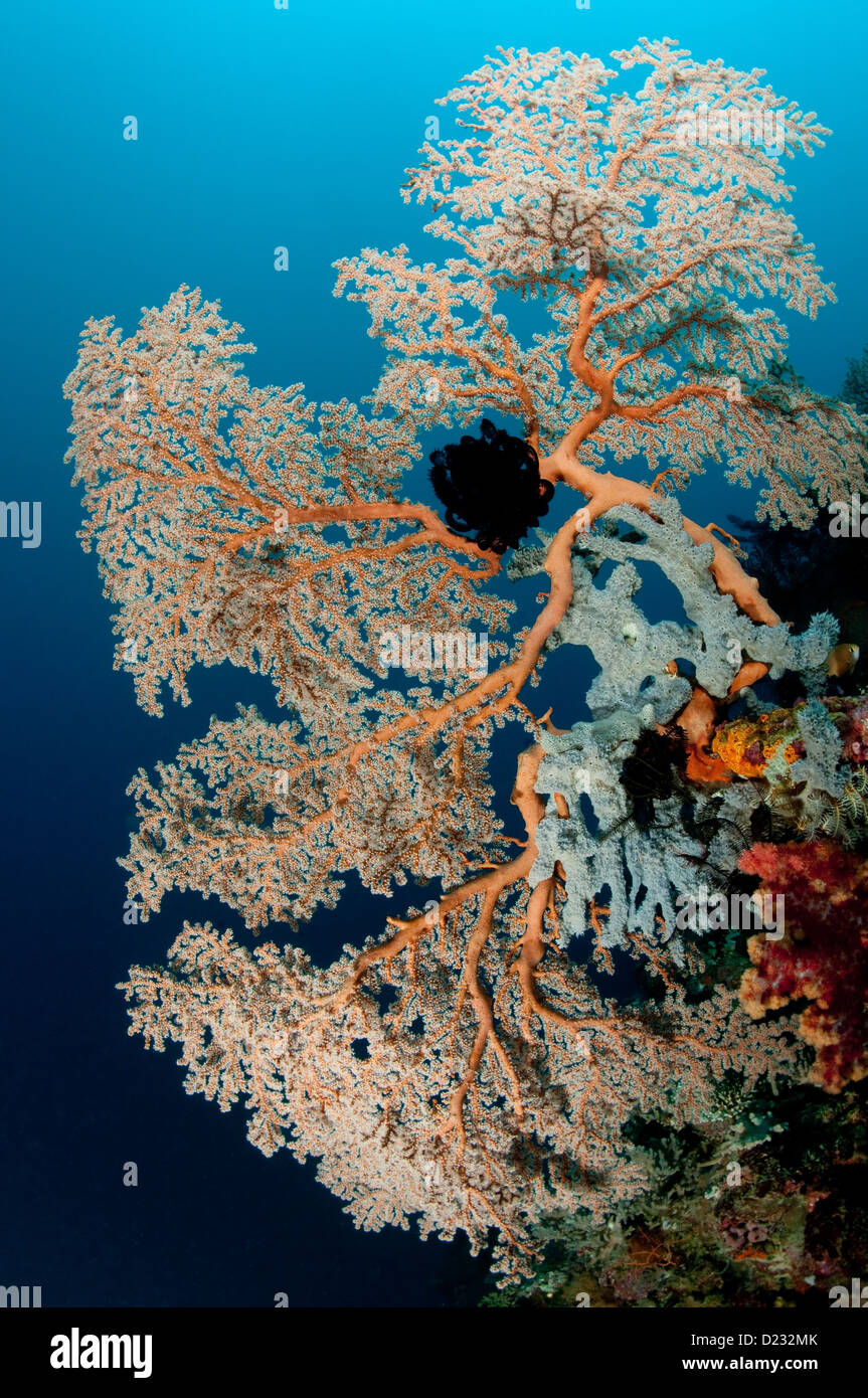 Bootless bay hi-res stock photography and images - Alamy