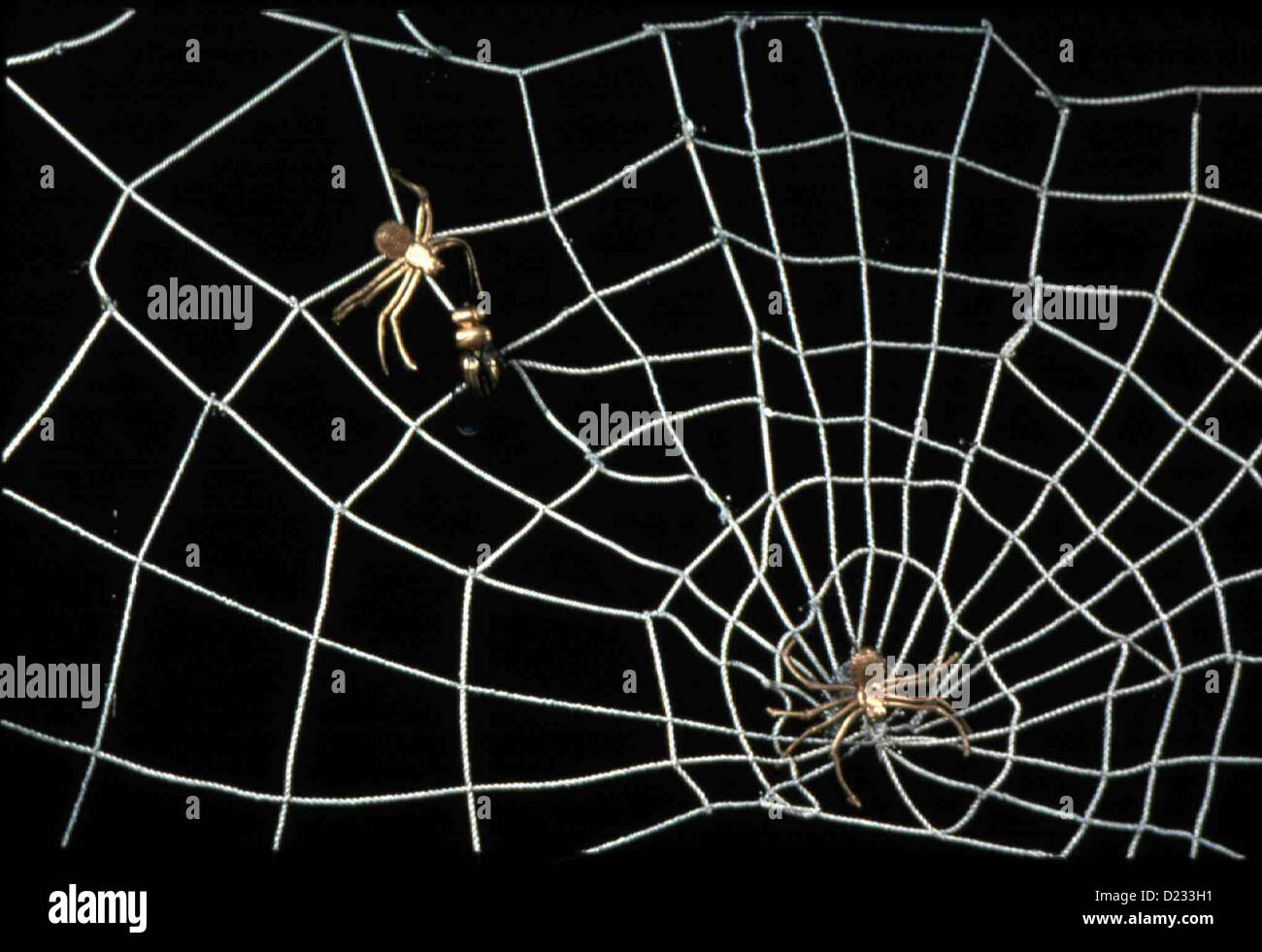 The Fly 1958 Spider