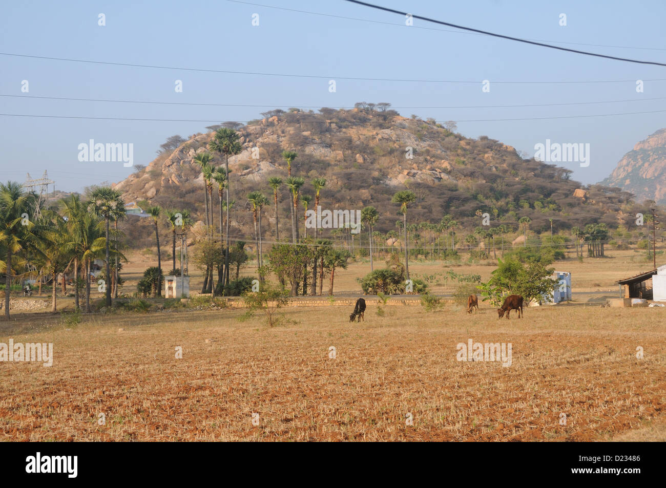 A Mountain at Erode, Tamil Nadu, India Stock Photo - Alamy