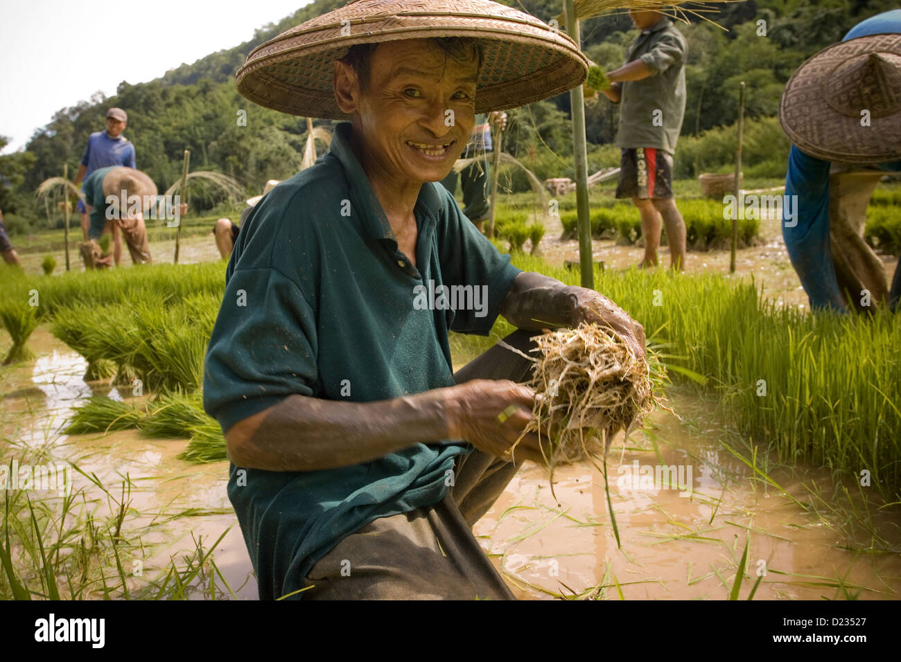 Migrant burmese myanmar worker in hi-res stock photography and images ...