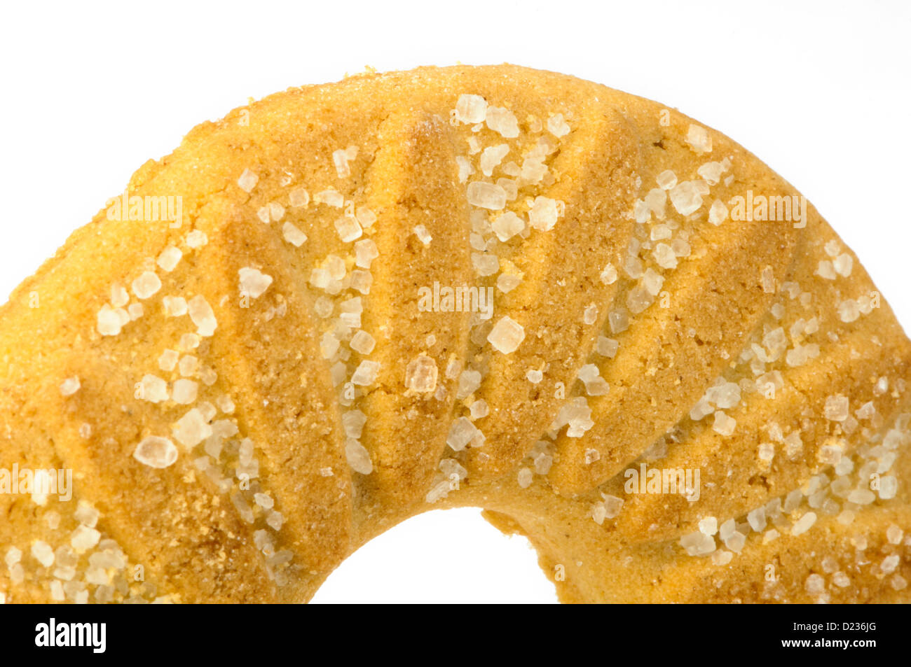 One Biscuit close up studio shot Stock Photo - Alamy