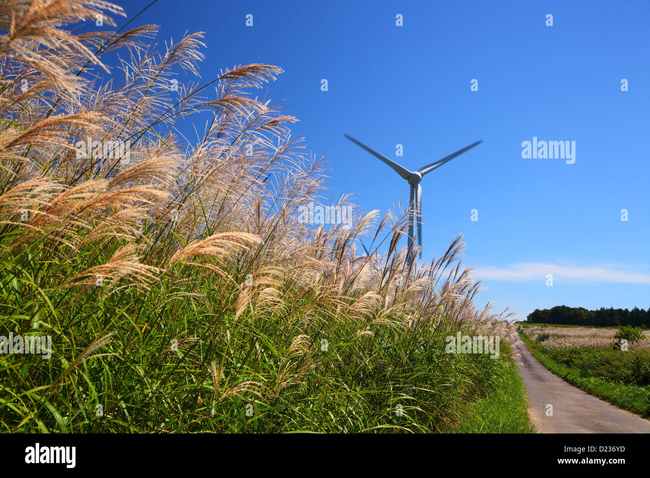 Silver windmill hi-res stock photography and images - Alamy