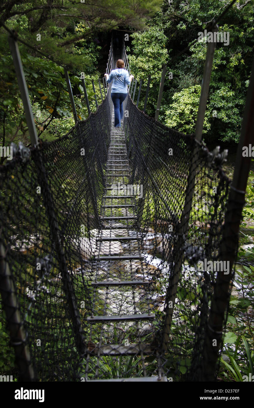 A bridge crosses the Wainui stream half way to Wainui Falls, a ...
