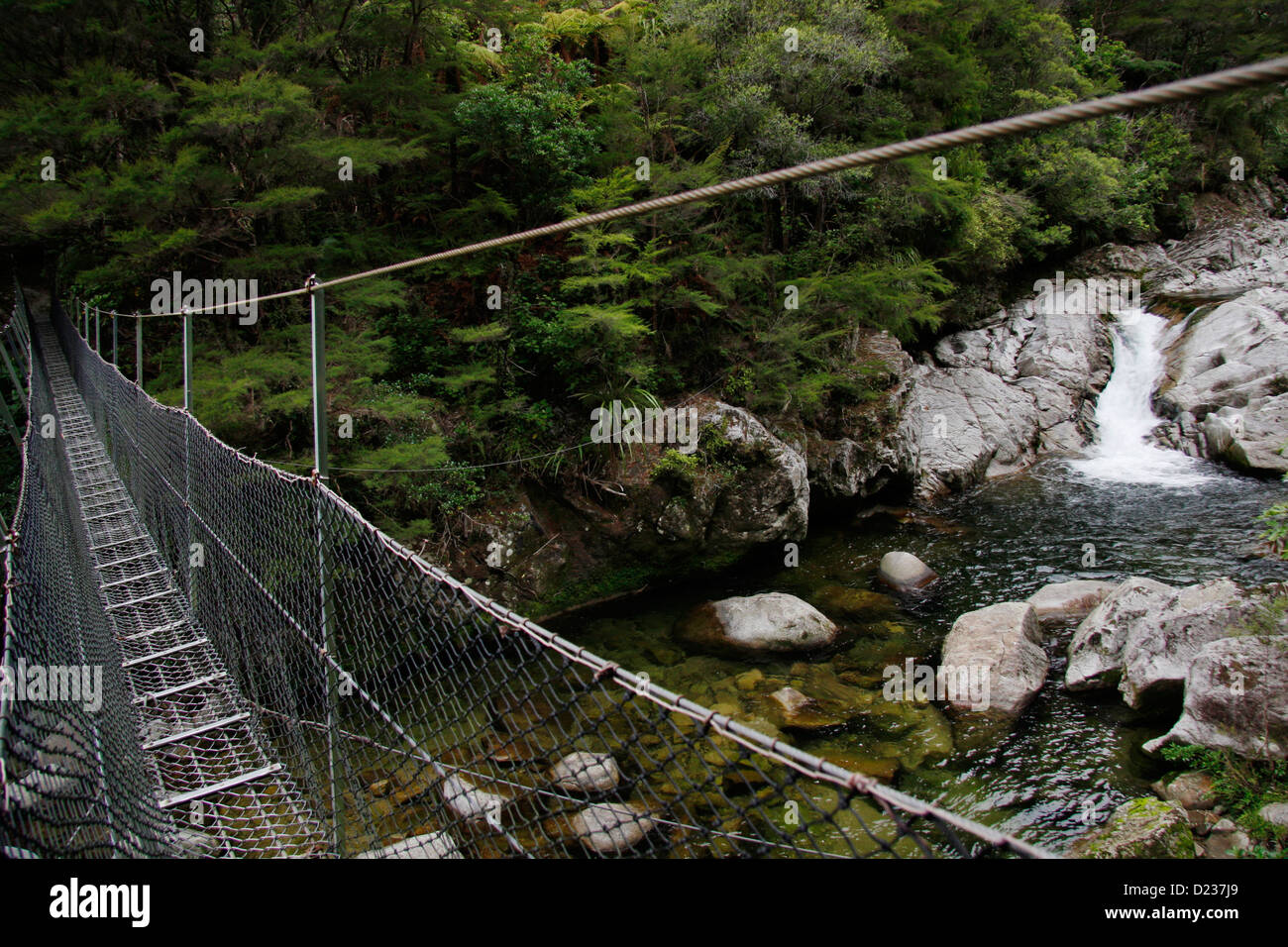 A bridge crosses the Wainui stream half way to Wainui Falls, a ...