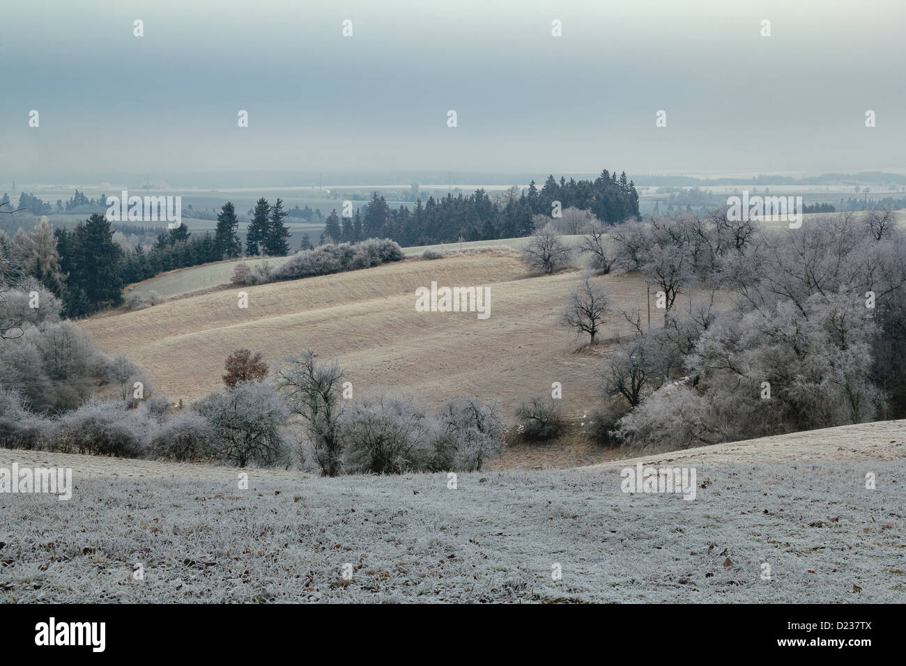 overcast winter scenery with frozen landscape in winter Stock Photo - Alamy