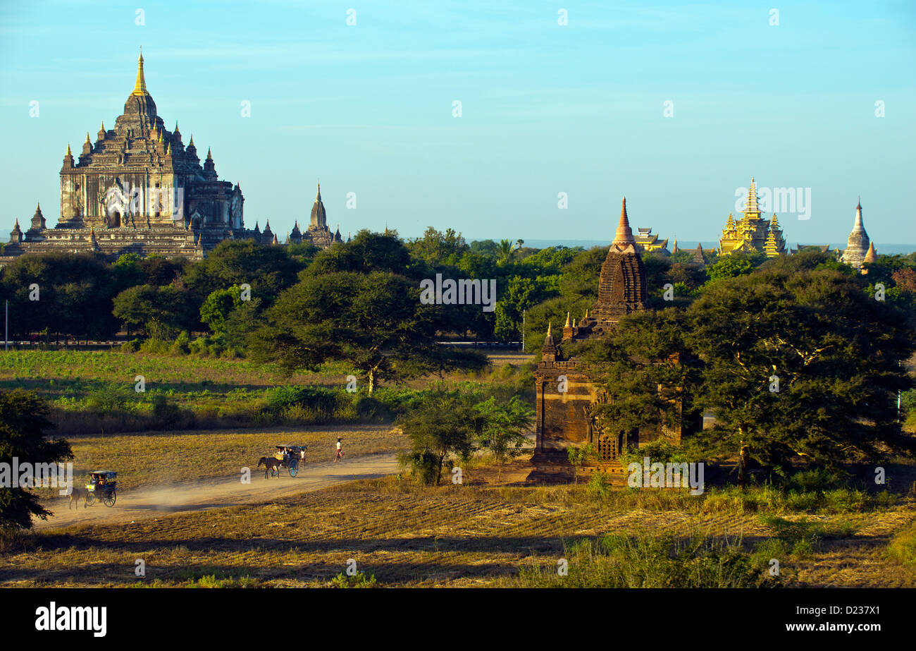 Pagodas fill the landscape in Bagan, Myanmar, Burma Stock Photo - Alamy