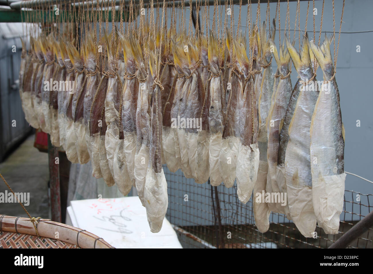 Far fish hi-res stock photography and images - Alamy