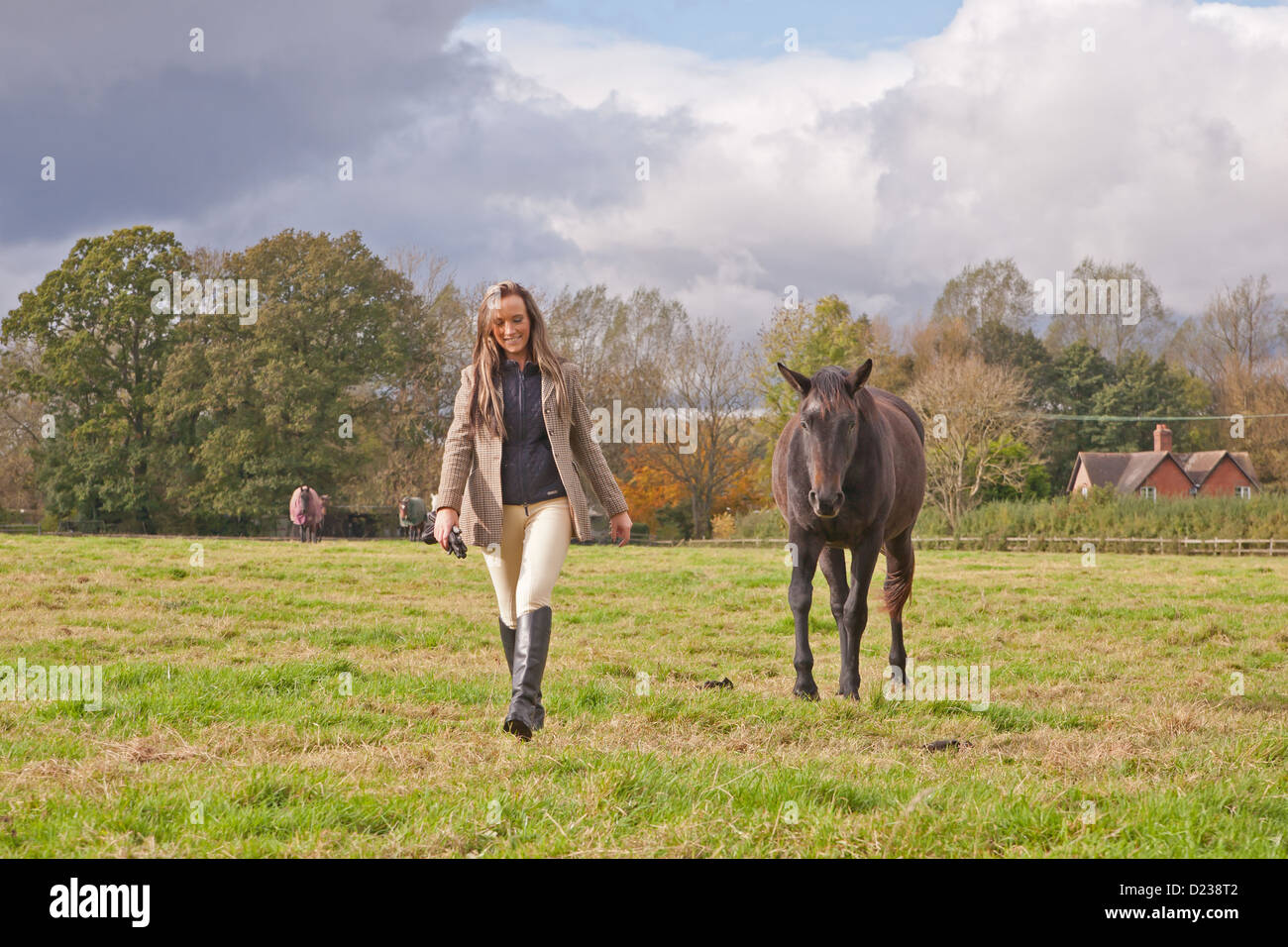 Equestrian landscape hi-res stock photography and images - Alamy
