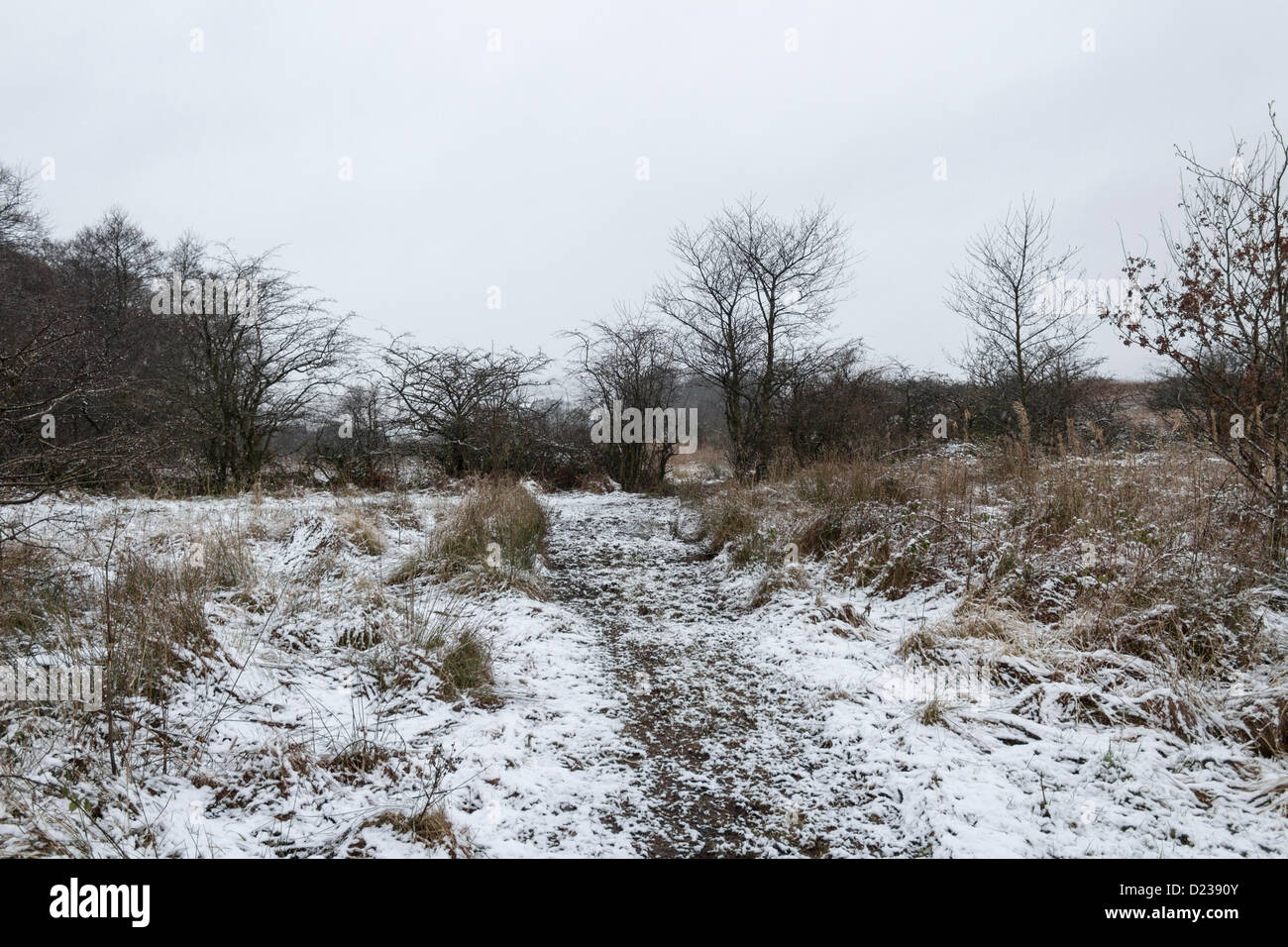 Portrait view of a snowy field with a view of the Campsie hills ...