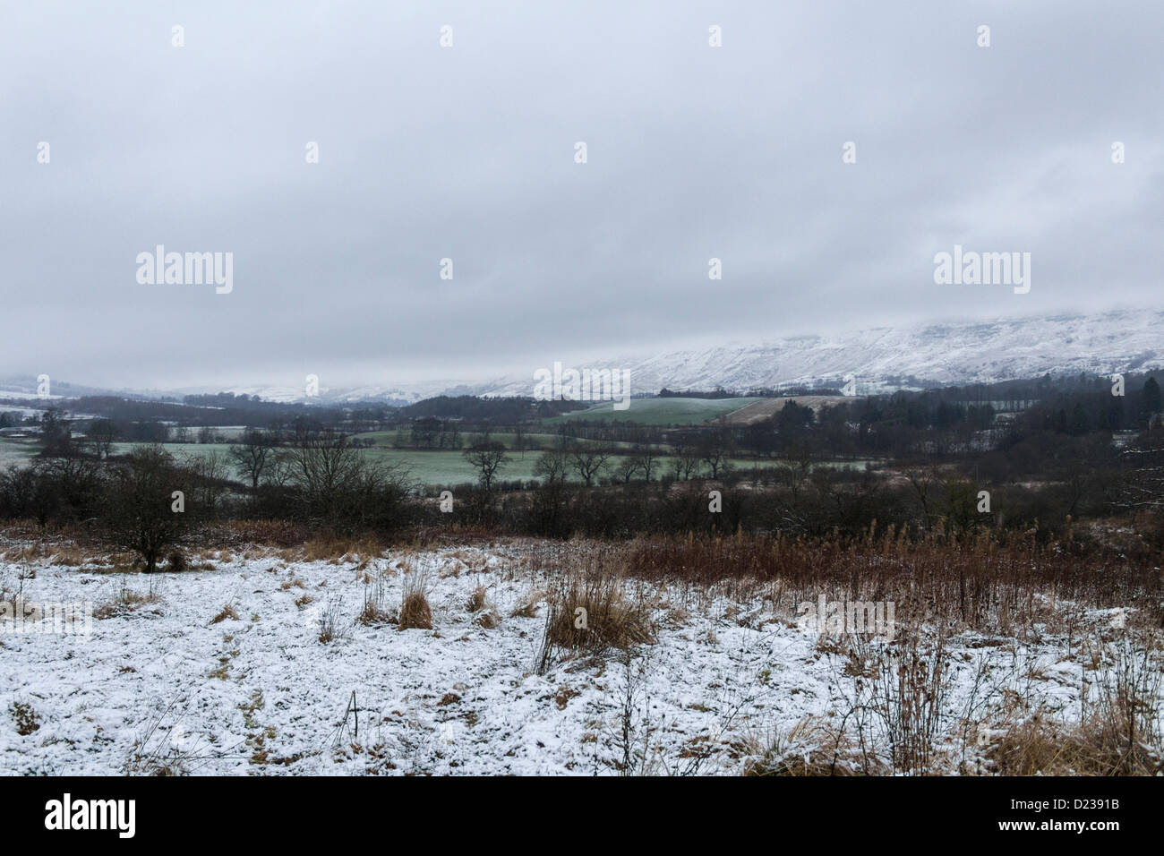 Portrait view of a snowy field with a view of the Campsie hills ...