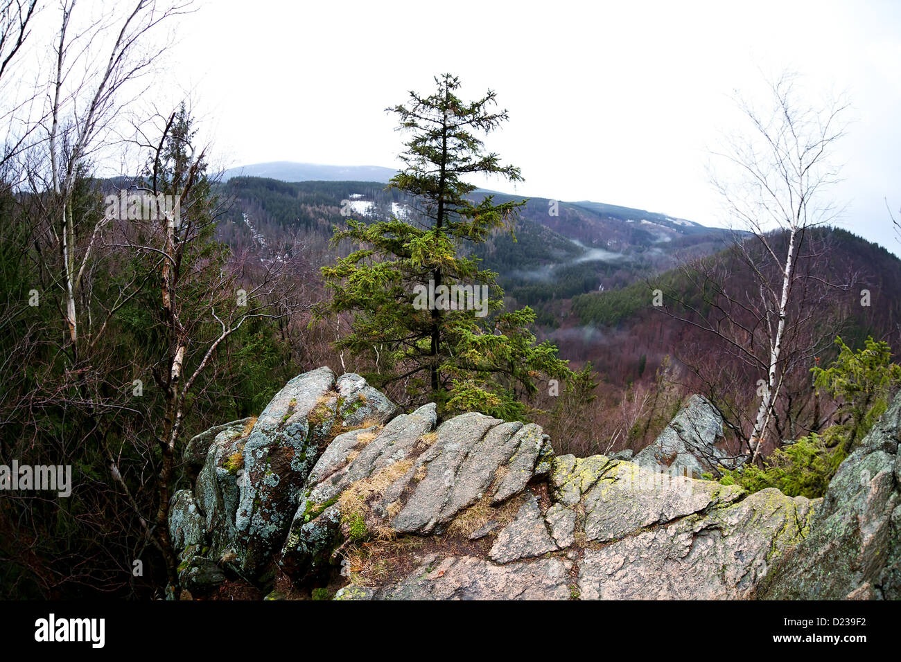 The harz mountains hi-res stock photography and images - Alamy