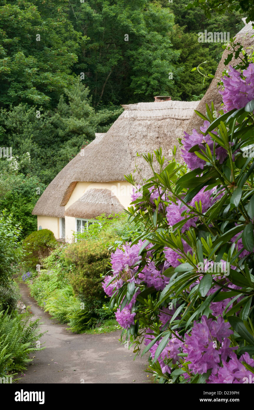 Selworthy thatched cottage hi-res stock photography and images - Alamy