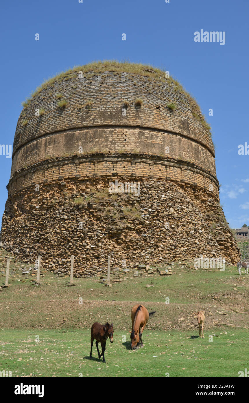 Shingardar Buddhist stupa in Swat Valley, North Pakistan with horse and ...