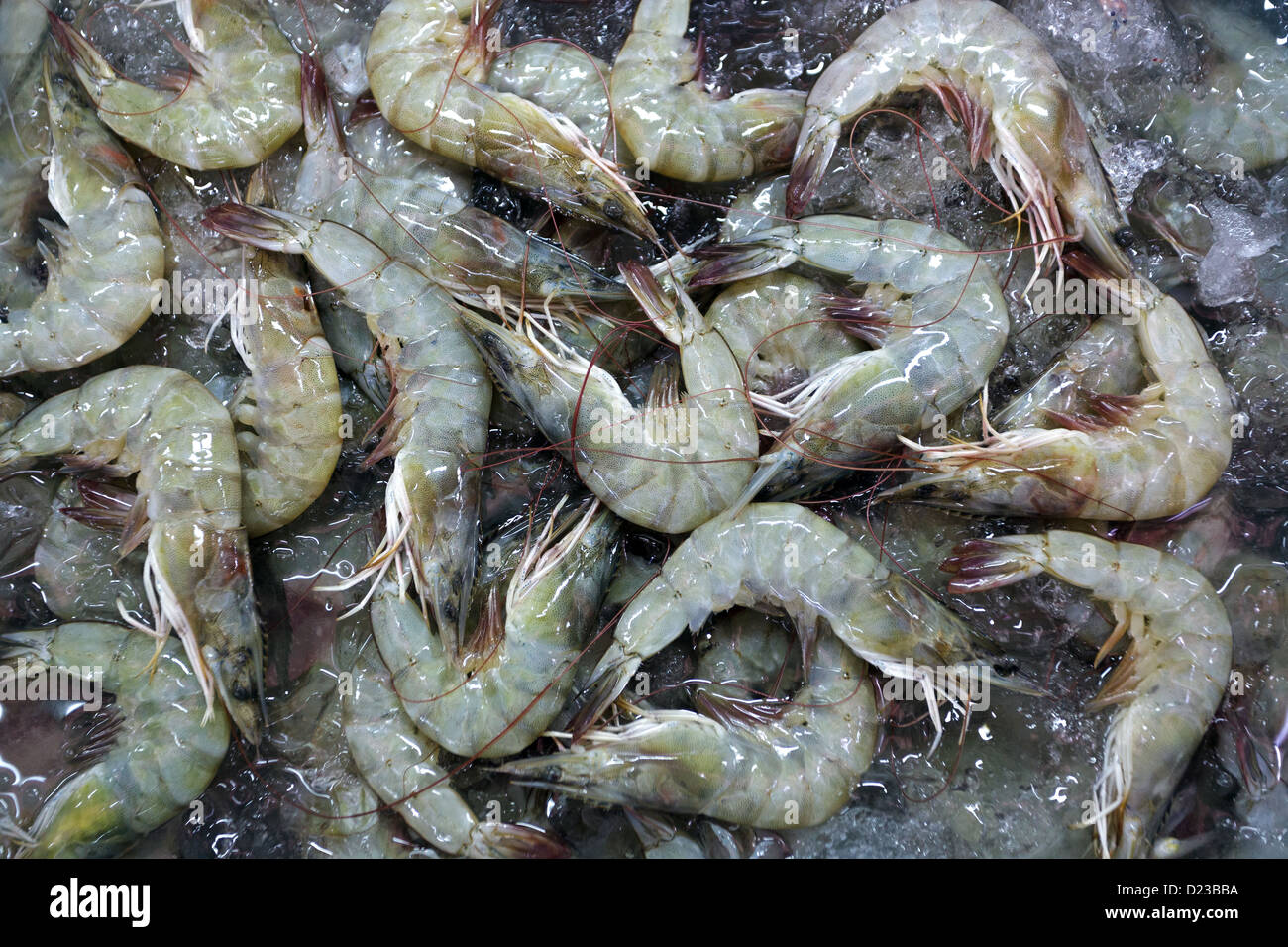 Gray market hi-res stock photography and images - Alamy