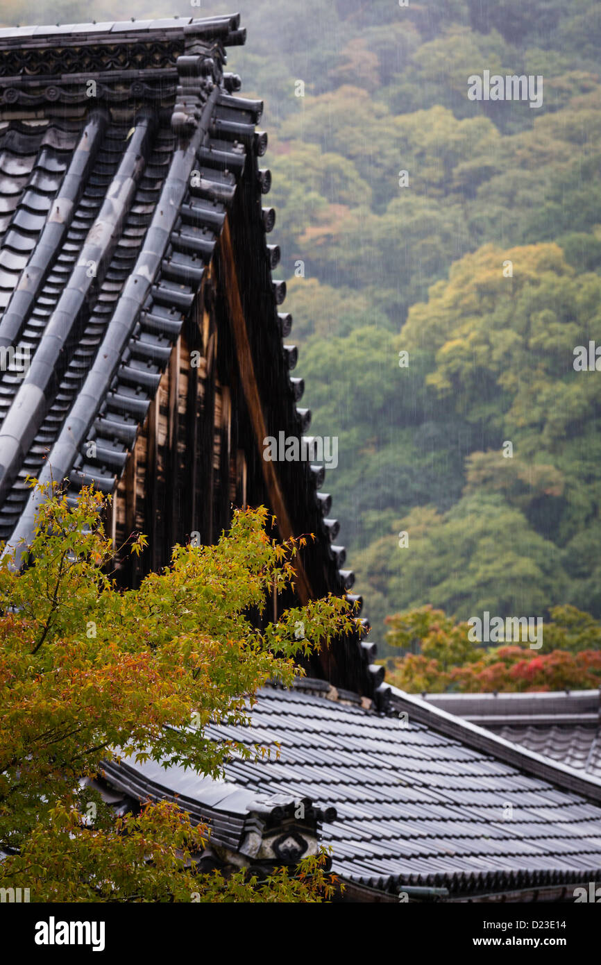 The garden of the Tenryuji Temple, near Kyoto, during an Autumn ...