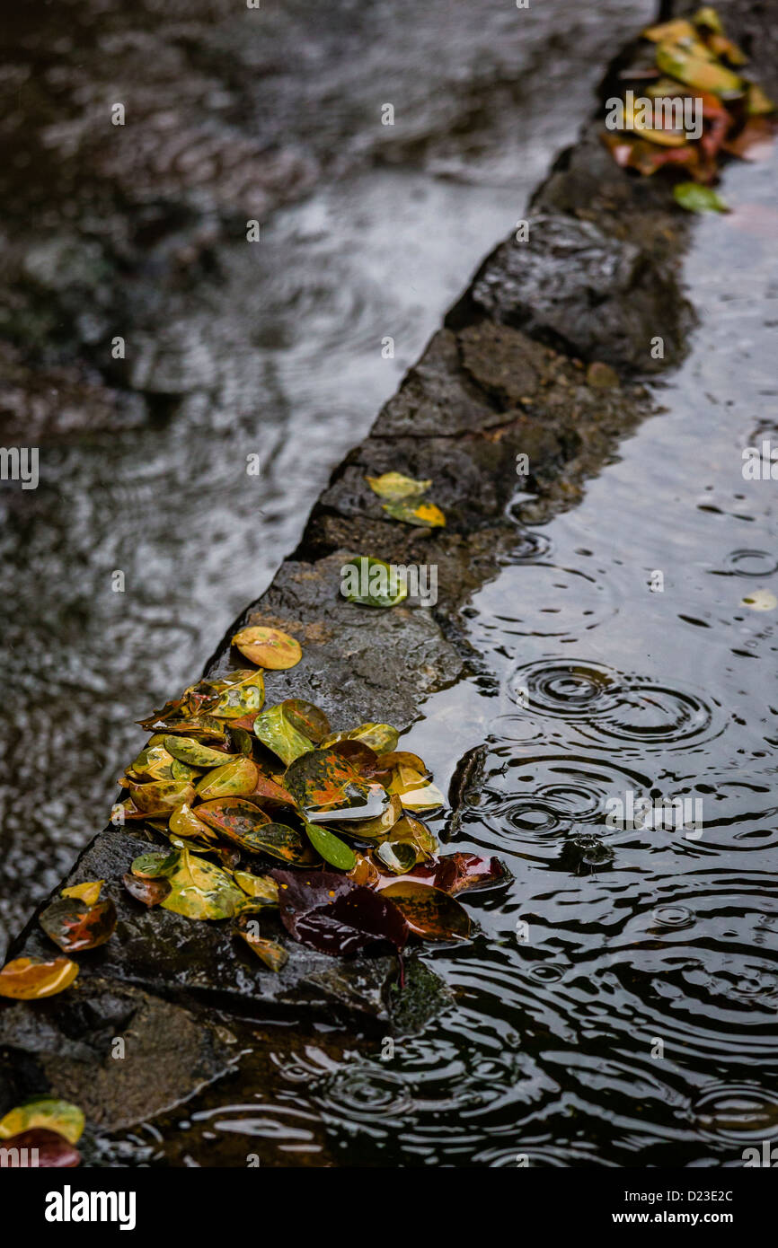 Raindrops in a puddle on the Japanese Temple of Tenryuji Stock Photo ...