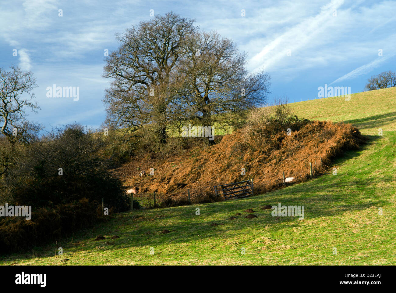Caerleon wales hi-res stock photography and images - Alamy