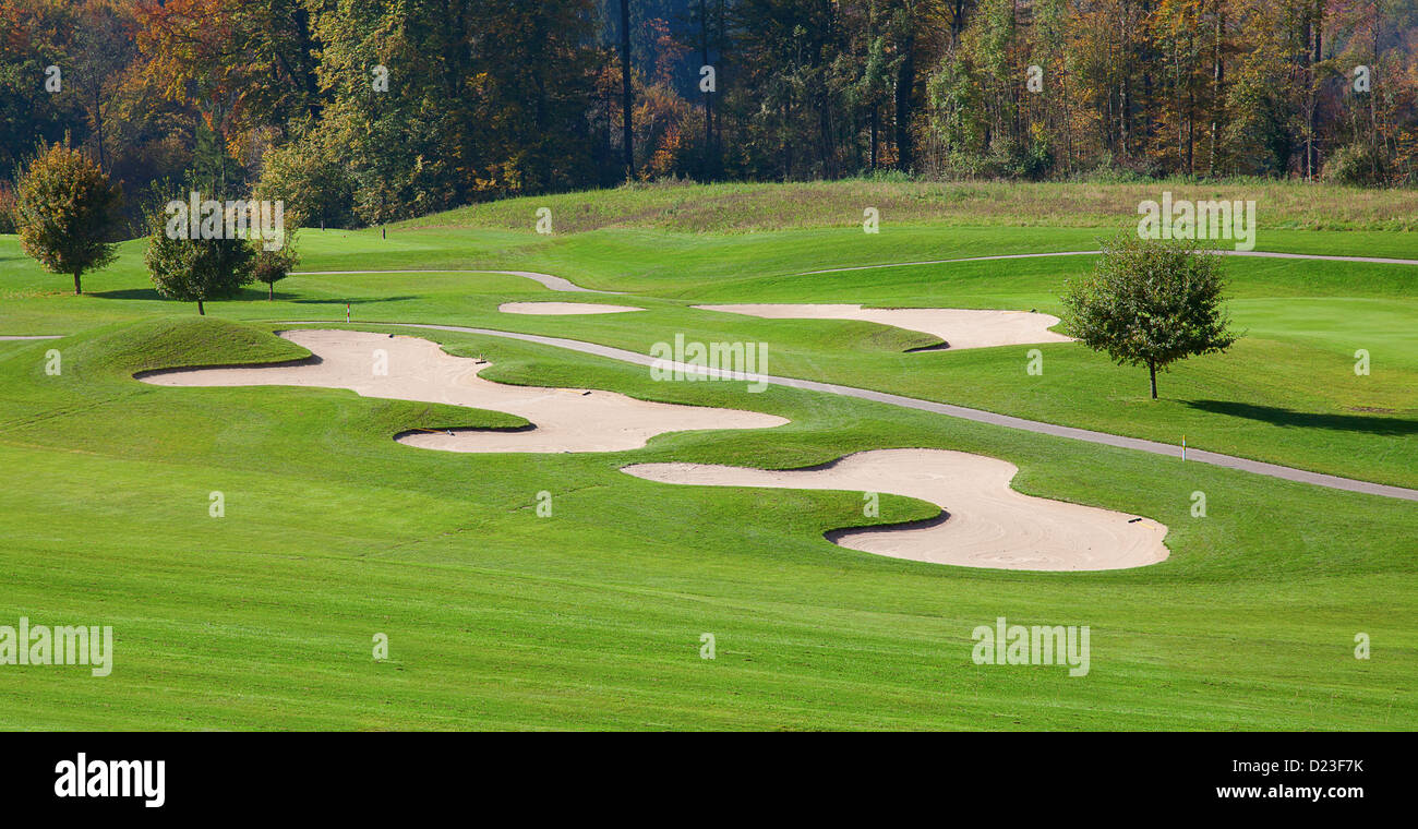 green grass of the golf course surrounded by autumnal forest Stock ...