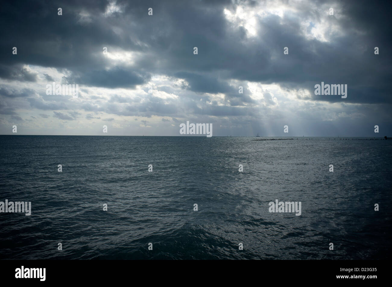 Floria hi-res stock photography and images - Alamy